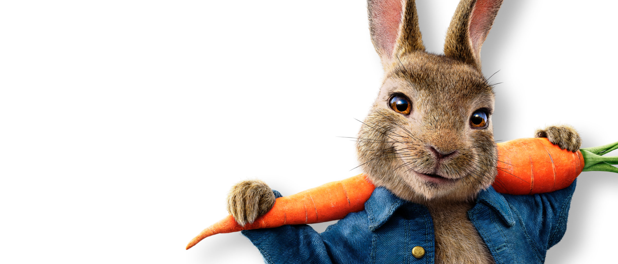 Peter Rabbit: Conejo en Fuga | Sony Pictures Mexico